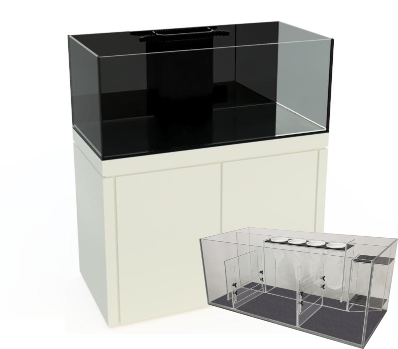 Tideline CRYSTAL Reef